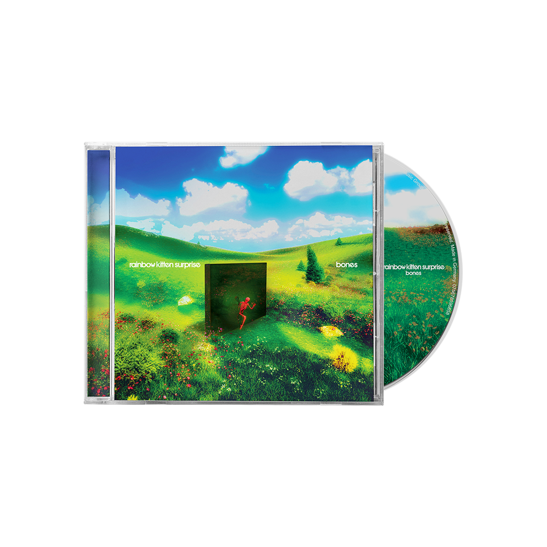 Rainbow Kitten Surprise - Bones (CD) – Nail City Record